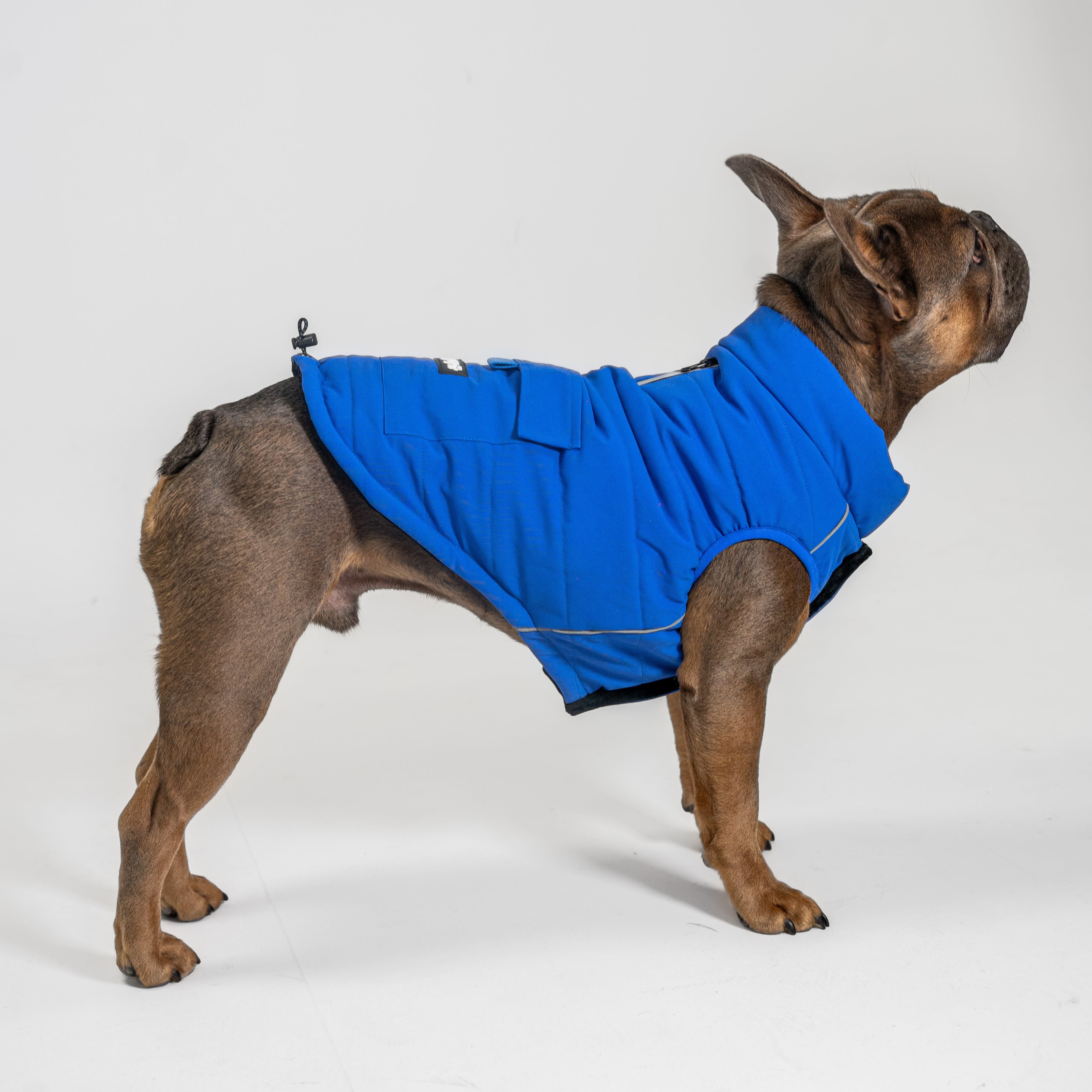 Dog Vest (Blue) – Barknpup